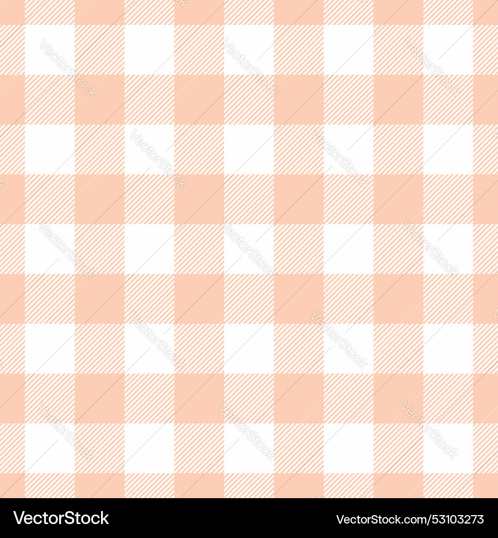 Indian check fabric background picture tartan Vector Image