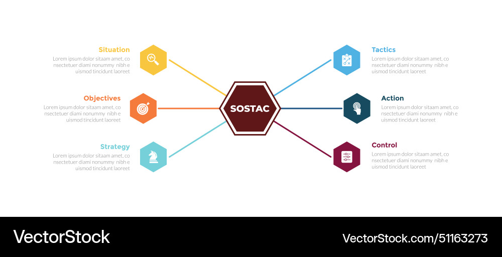 Sostac marketing planning infographics template Vector Image