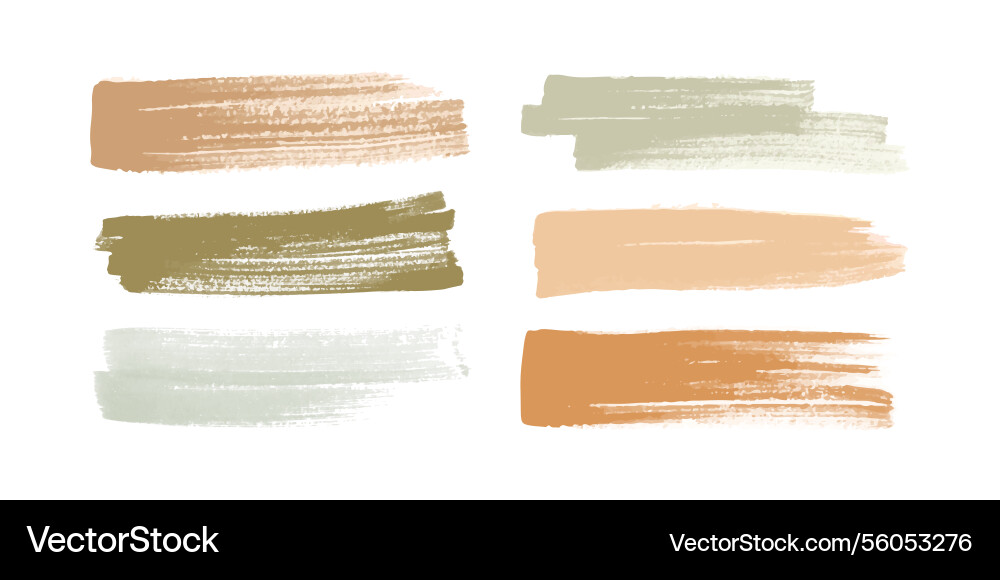 Brushstrokes set textured paint lines colored Vector Image