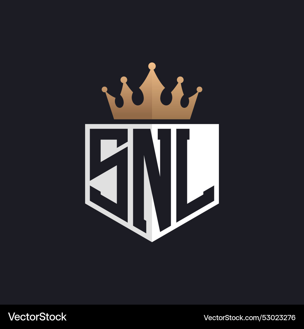 Luxury snl logo with crown elegant initials Vector Image
