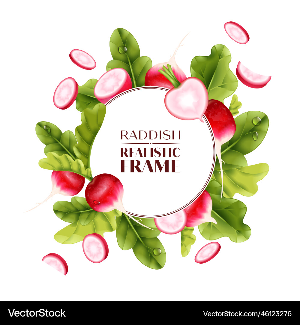 Radish realistic frame Royalty Free Vector Image