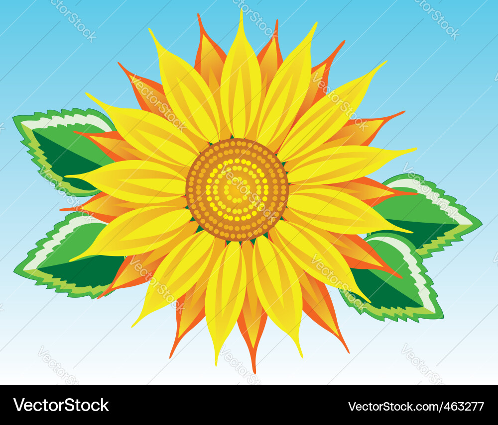 Sunflower Royalty Free Vector Image - VectorStock
