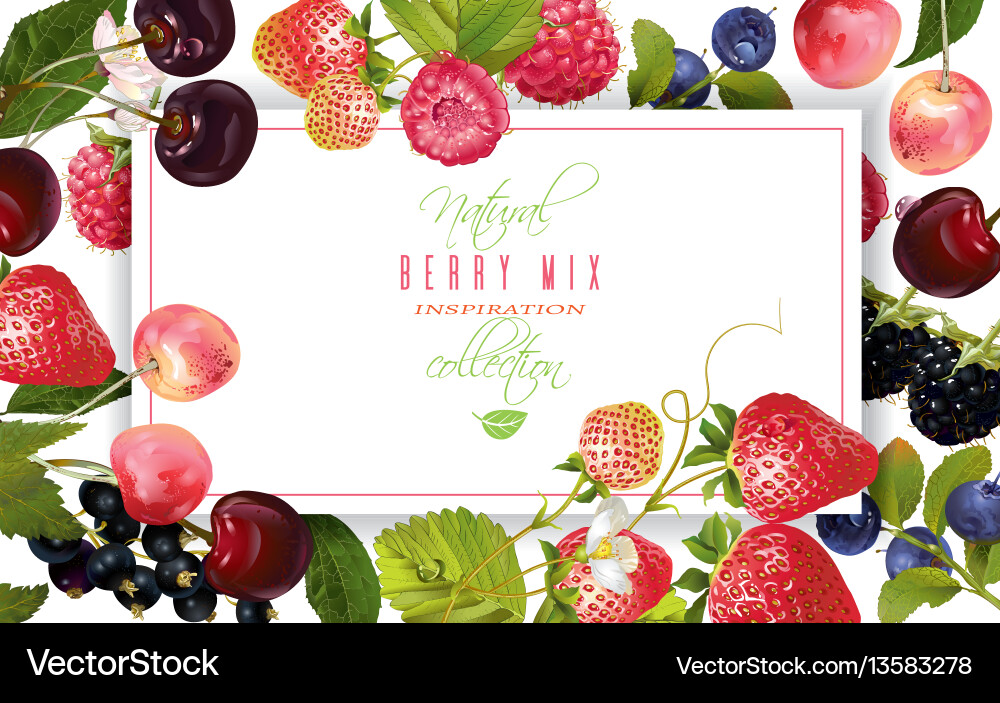 Berry horizontal banner Royalty Free Vector Image