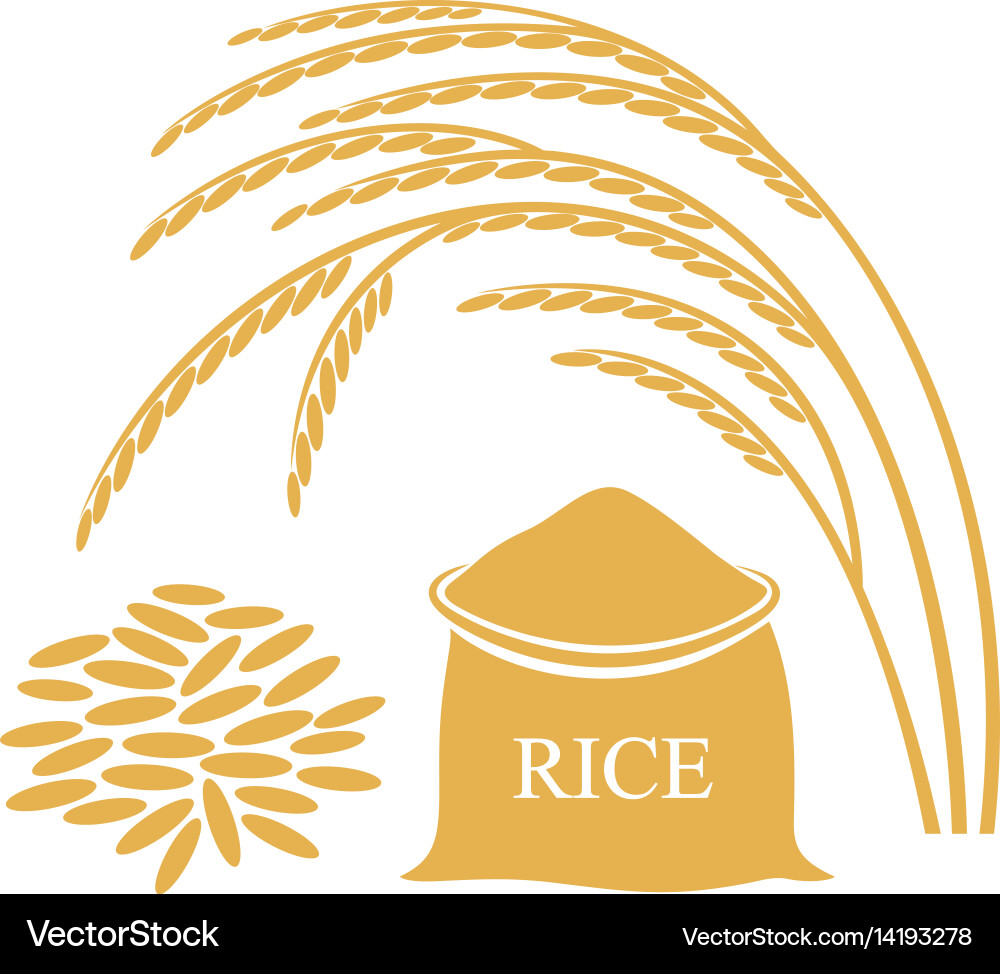 Rice Royalty Free Vector Image - VectorStock