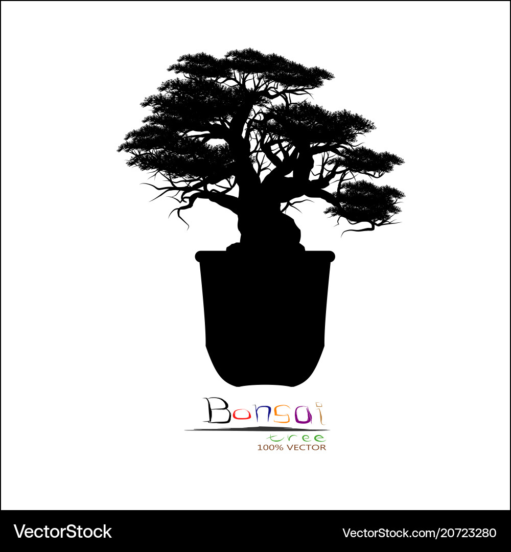 Bonsai tree Royalty Free Vector Image - VectorStock