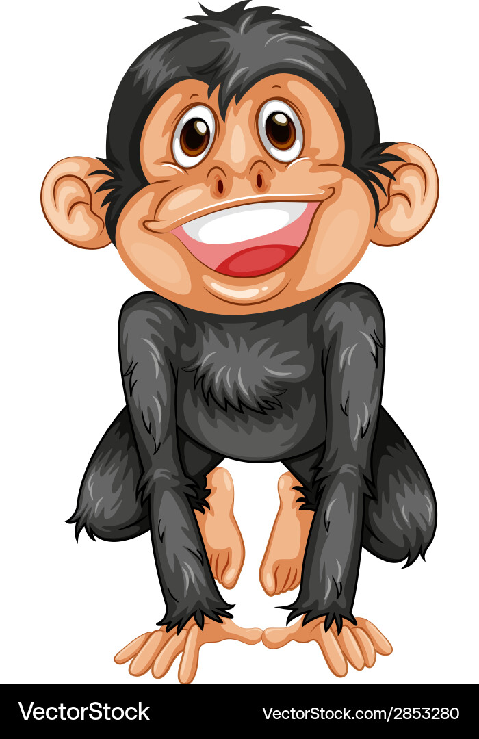 Chimpanzee Royalty Free Vector Image - VectorStock