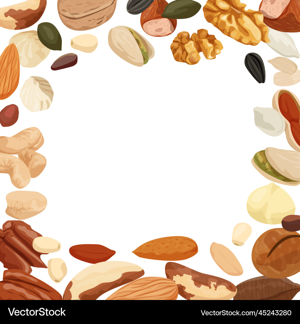 Muttern Samen Rahmen Zusammensetzung Lizenzfreier Vektor