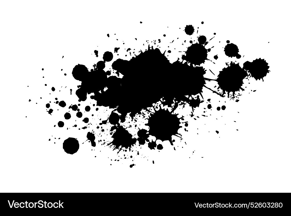 Splatter paint texture black spray blot of ink Vector Image
