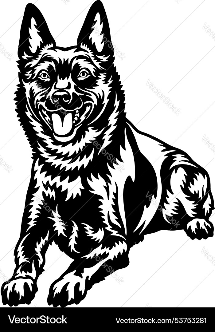 Australian kelpie dog breed - pet cut file Vector Image
