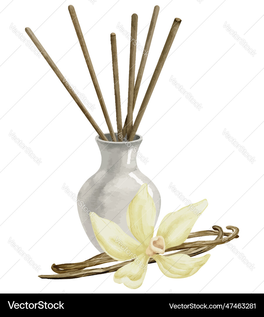 Diffuser with vanilla flowers and sticks hand Vector Image