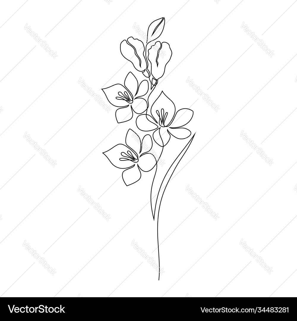 Elegant Freesia Line Drawing Royalty Free Vector Image