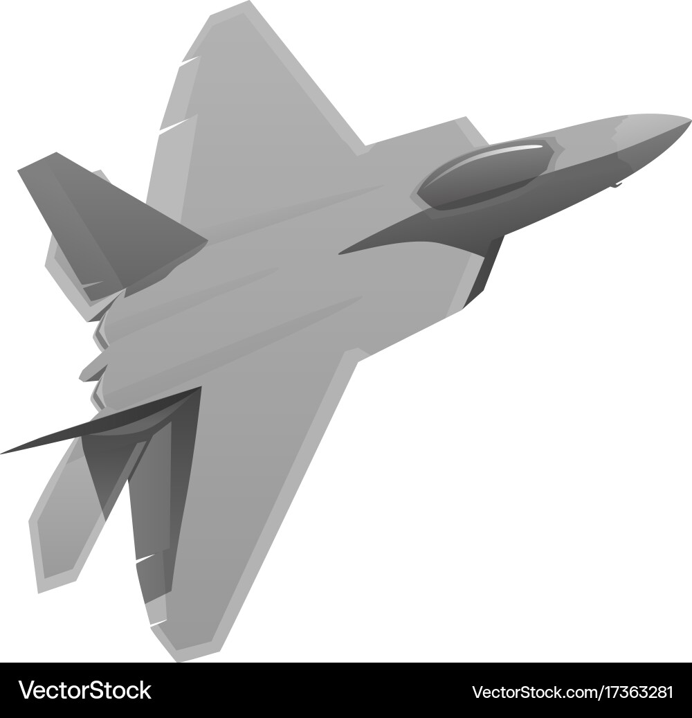 Military fighter jet aircraft Royalty Free Vector Image