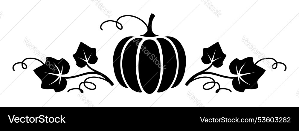 Autumn Pumpkin Vine Royalty Free Vector Image - VectorStock