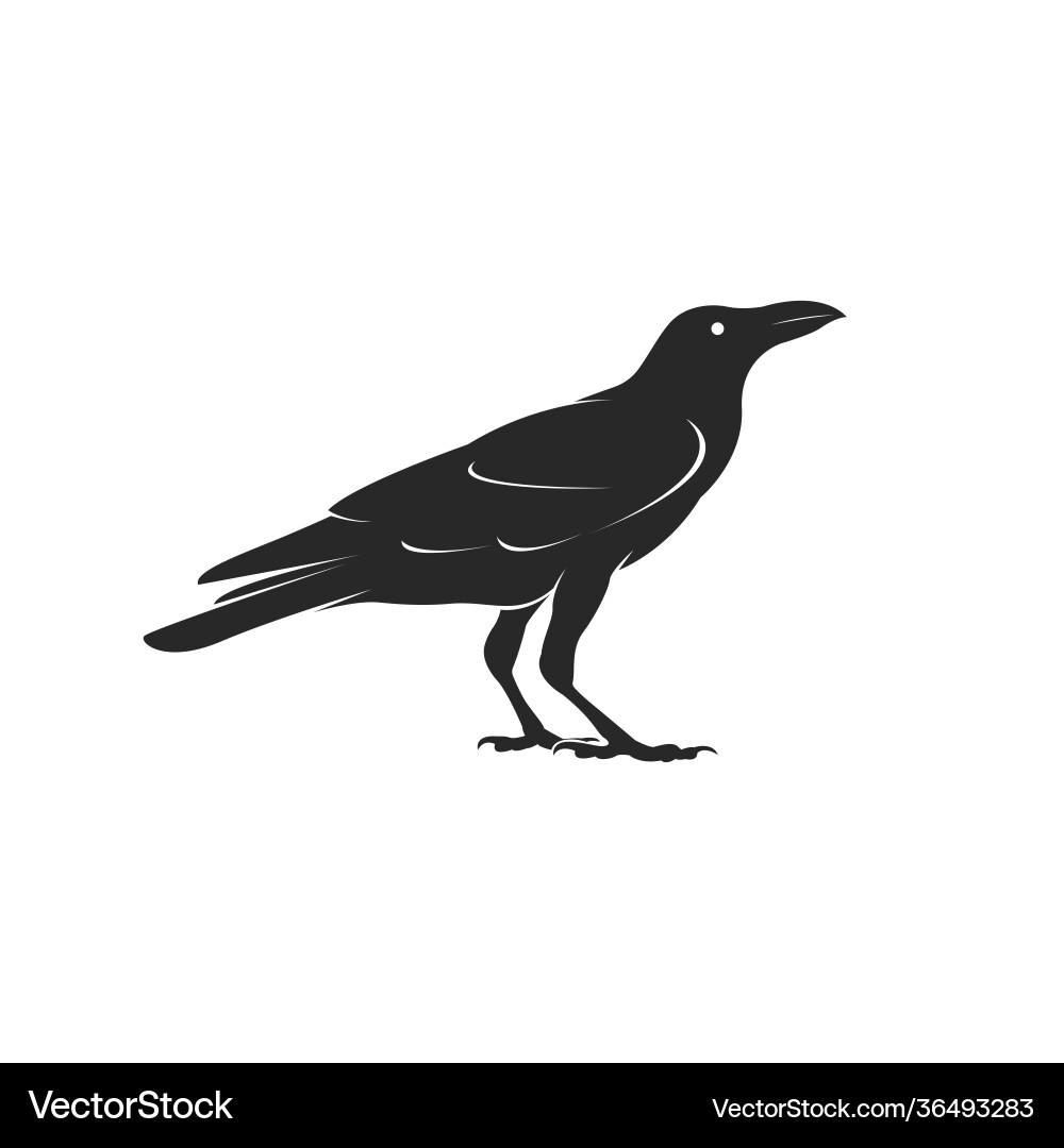 Crow design isolated on white background Vector Image