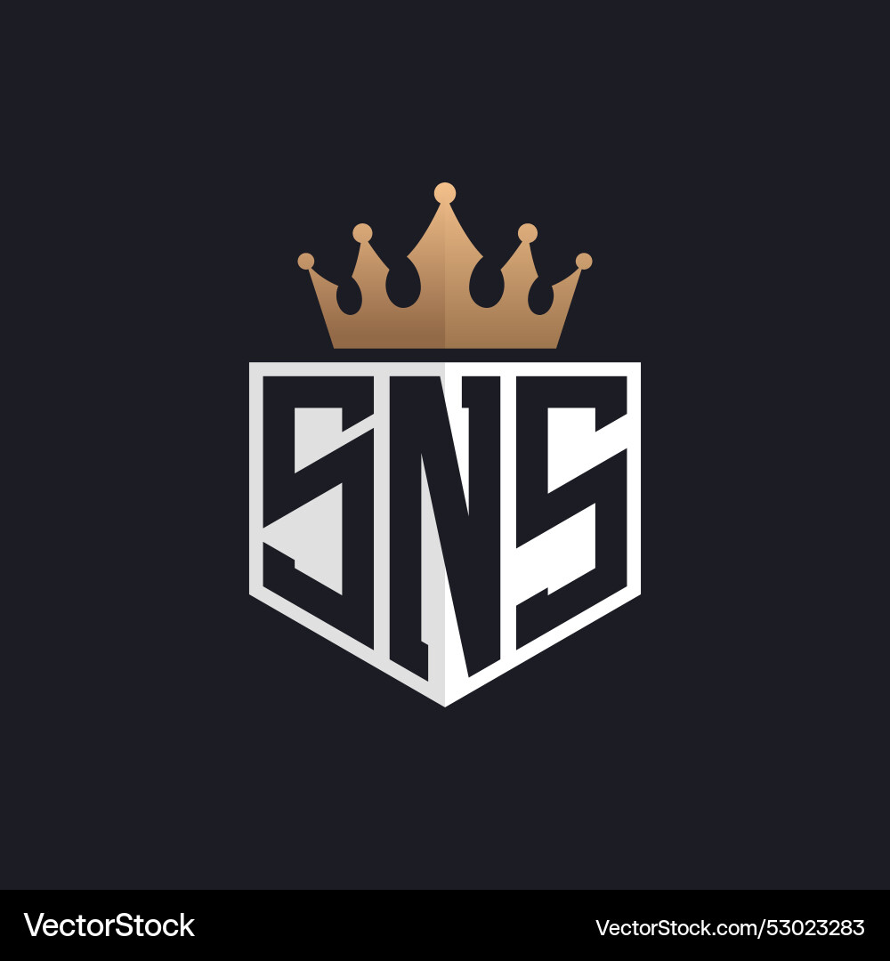 Luxury sns logo with crown elegant initials Vector Image