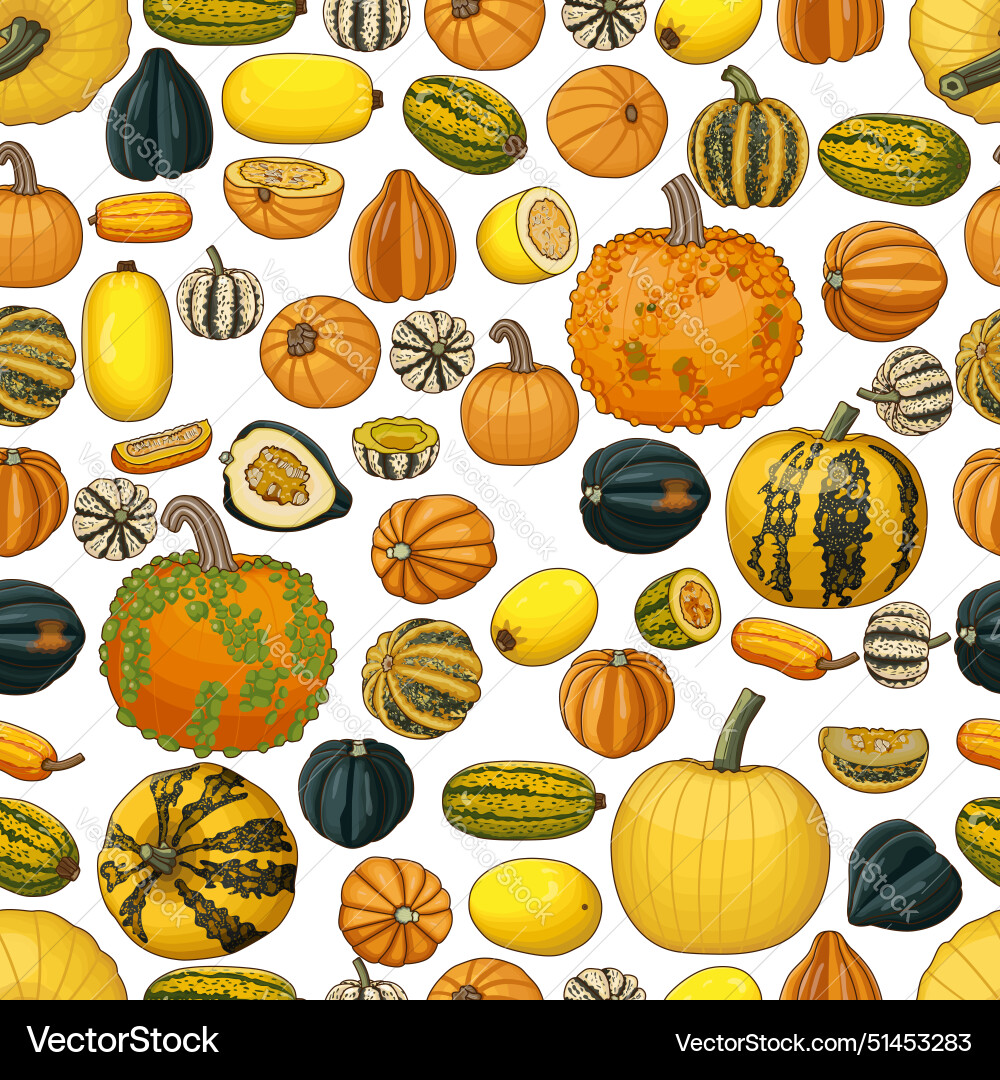Seamless pattern winter squash clipart Royalty Free Vector