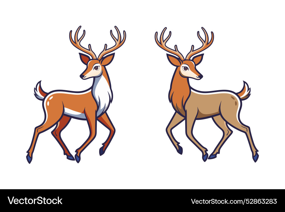 Sika deer axis samba isolated Royalty Free Vector Image