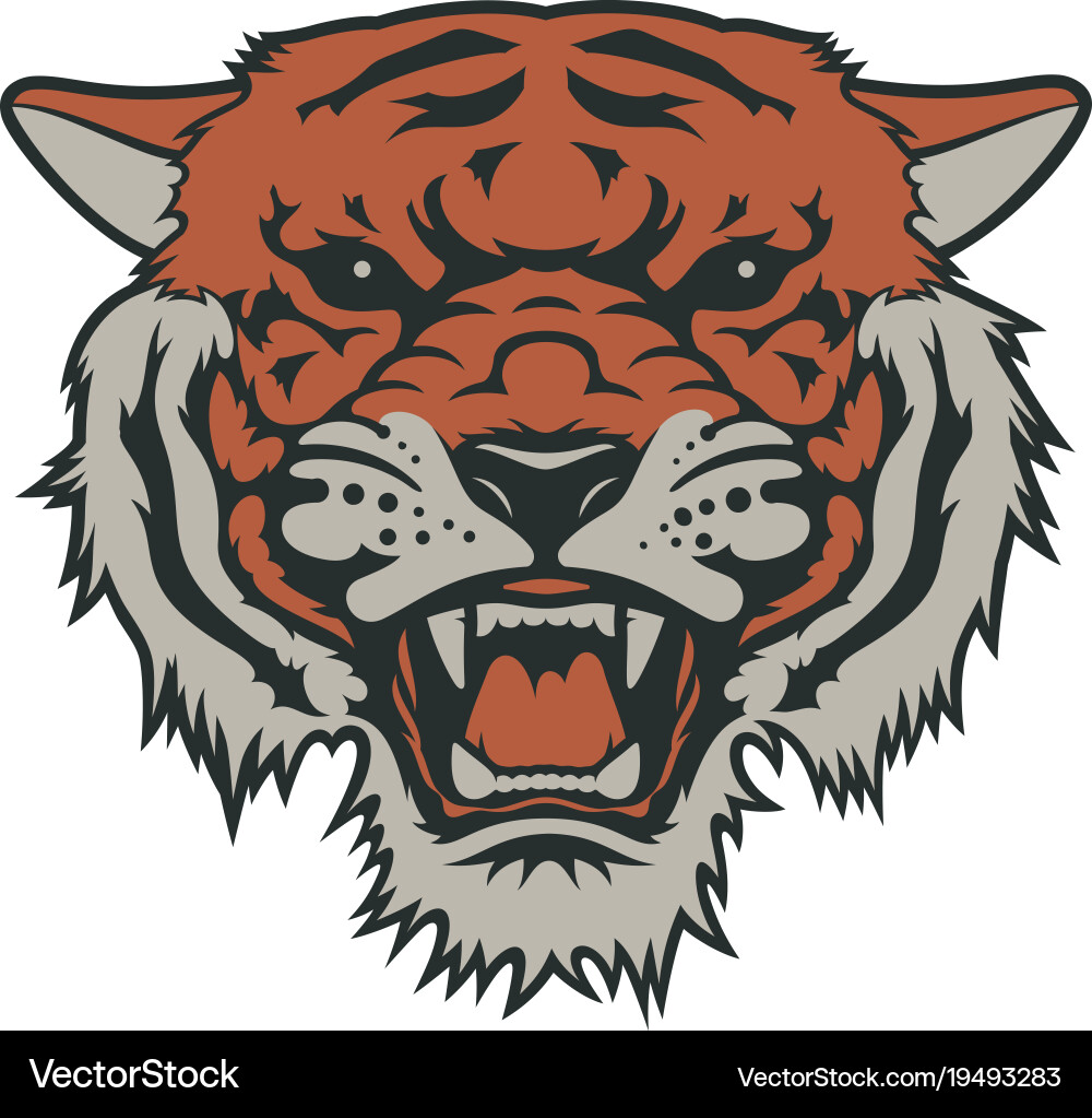 Tiger 007 Royalty Free Vector Image - VectorStock