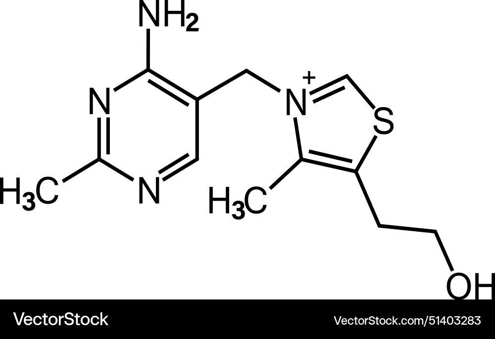 Vitamin b1 formula for healthcare Royalty Free Vector Image