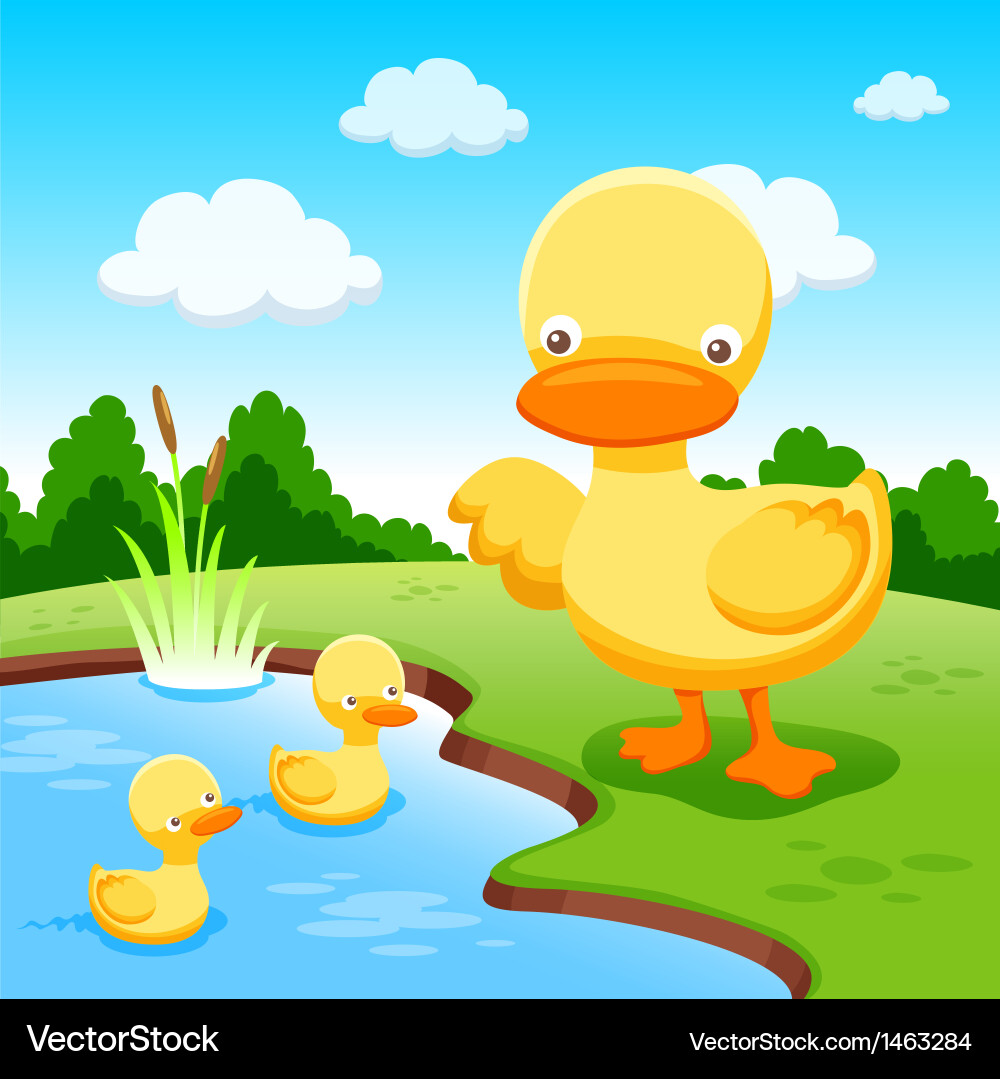 Ducks Royalty Free Vector Image - VectorStock