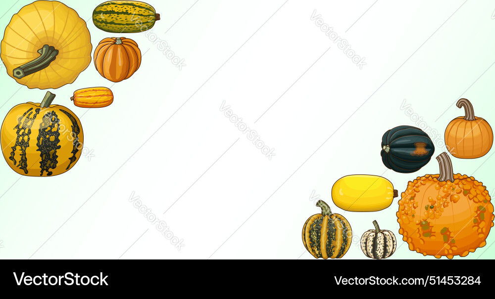 Rectangular banner winter squash clipart Vector Image
