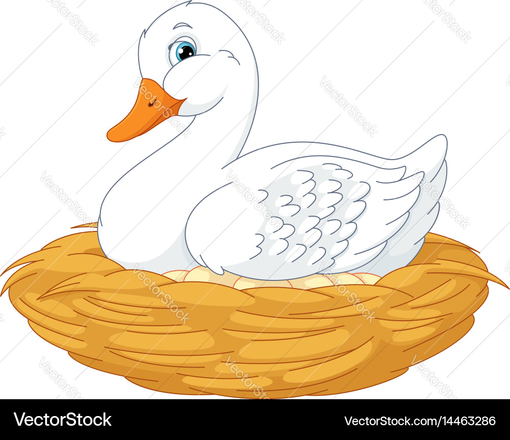 Duck in nest Royalty Free Vector Image - VectorStock