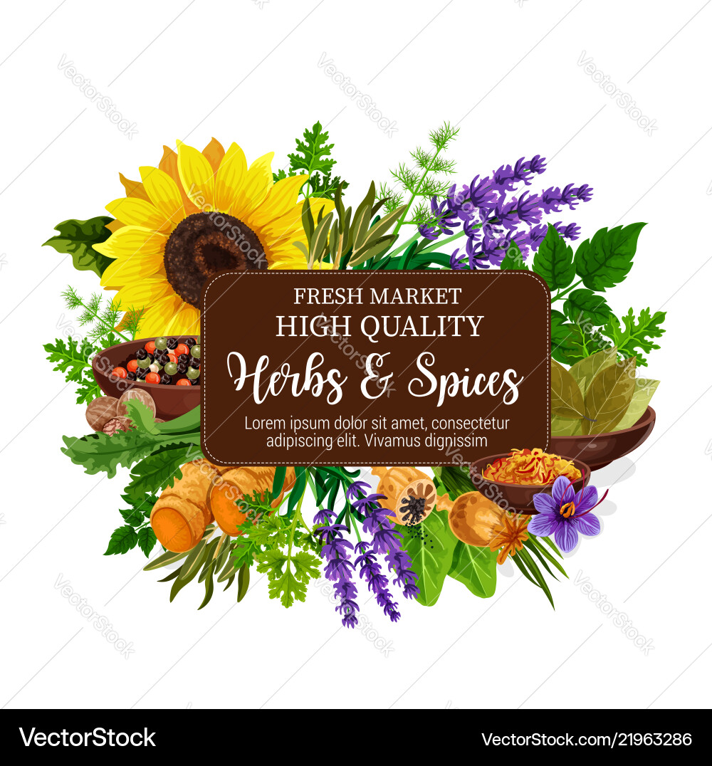 Natural herbs and spices poster Royalty Free Vector Image