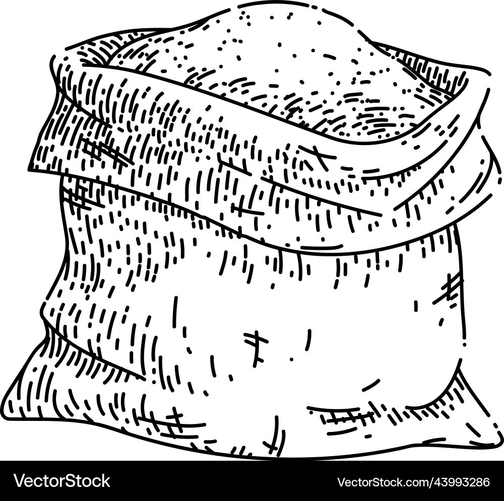 Sugar bag sketch hand drawn Royalty Free Vector Image