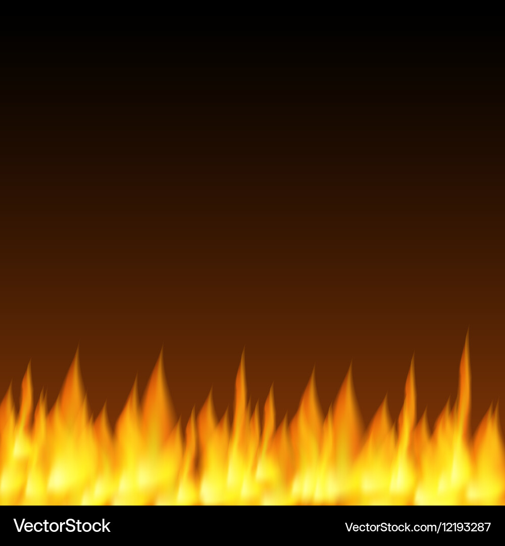 Realistic fire flames background Royalty Free Vector Image