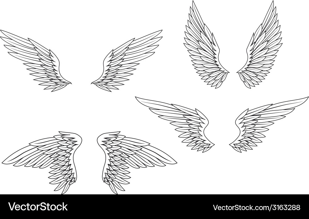 Set of heraldic wings Royalty Free Vector Image