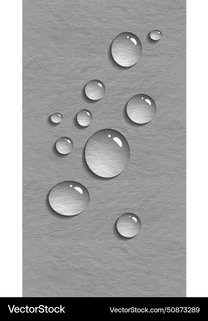 Realistic water drops Royalty Free Vector Image