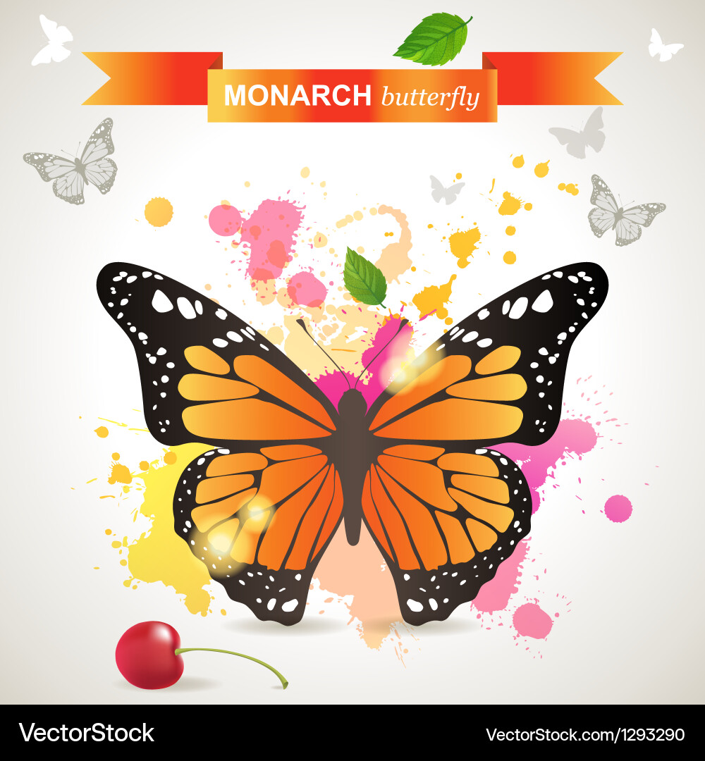 Monarch butterfly Royalty Free Vector Image - VectorStock