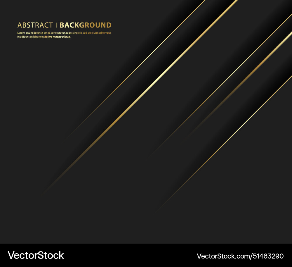 Premium background abstract luxury pattern gold Vector Image