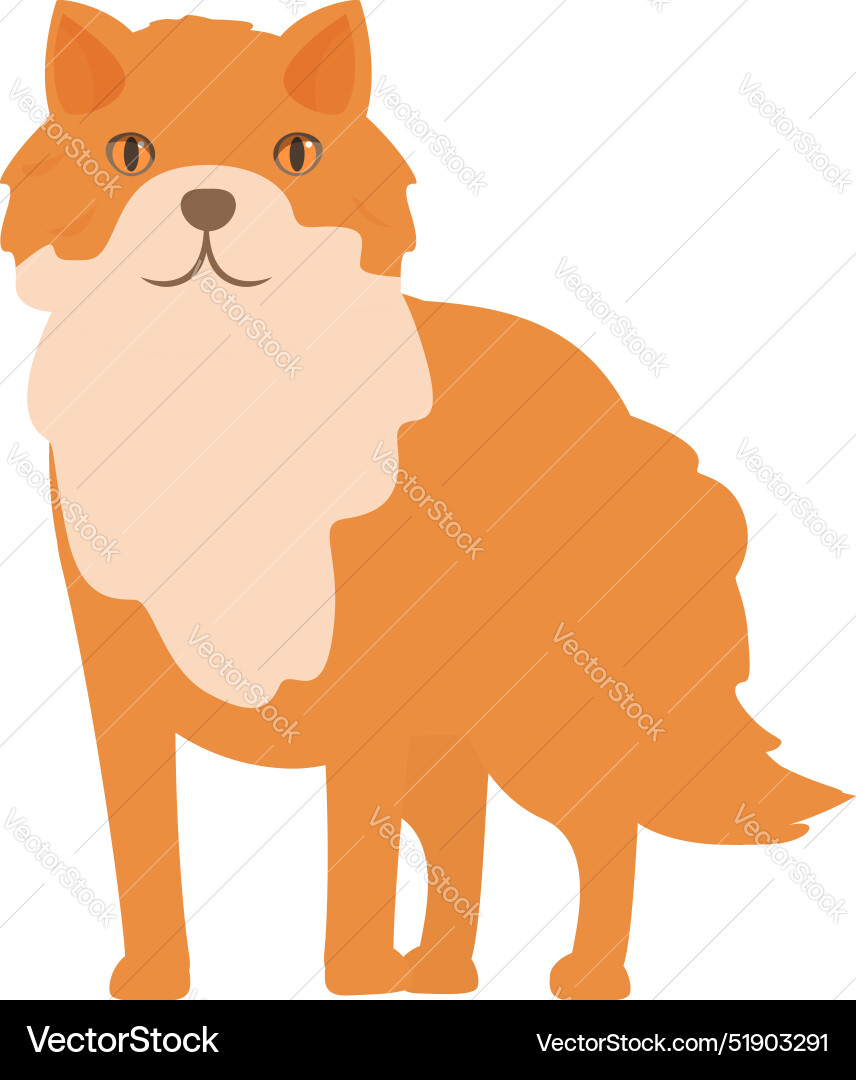Cute red fox standing on white background Vector Image