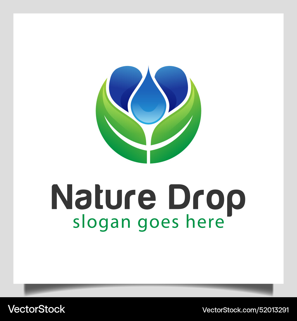 Fresh nature leaf and water drop design concept Vector Image