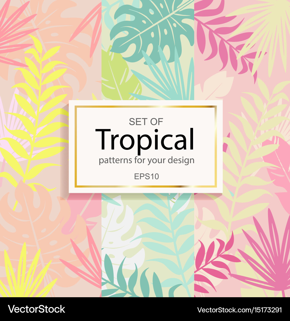 Set of modern tropical background for your design Vector Image