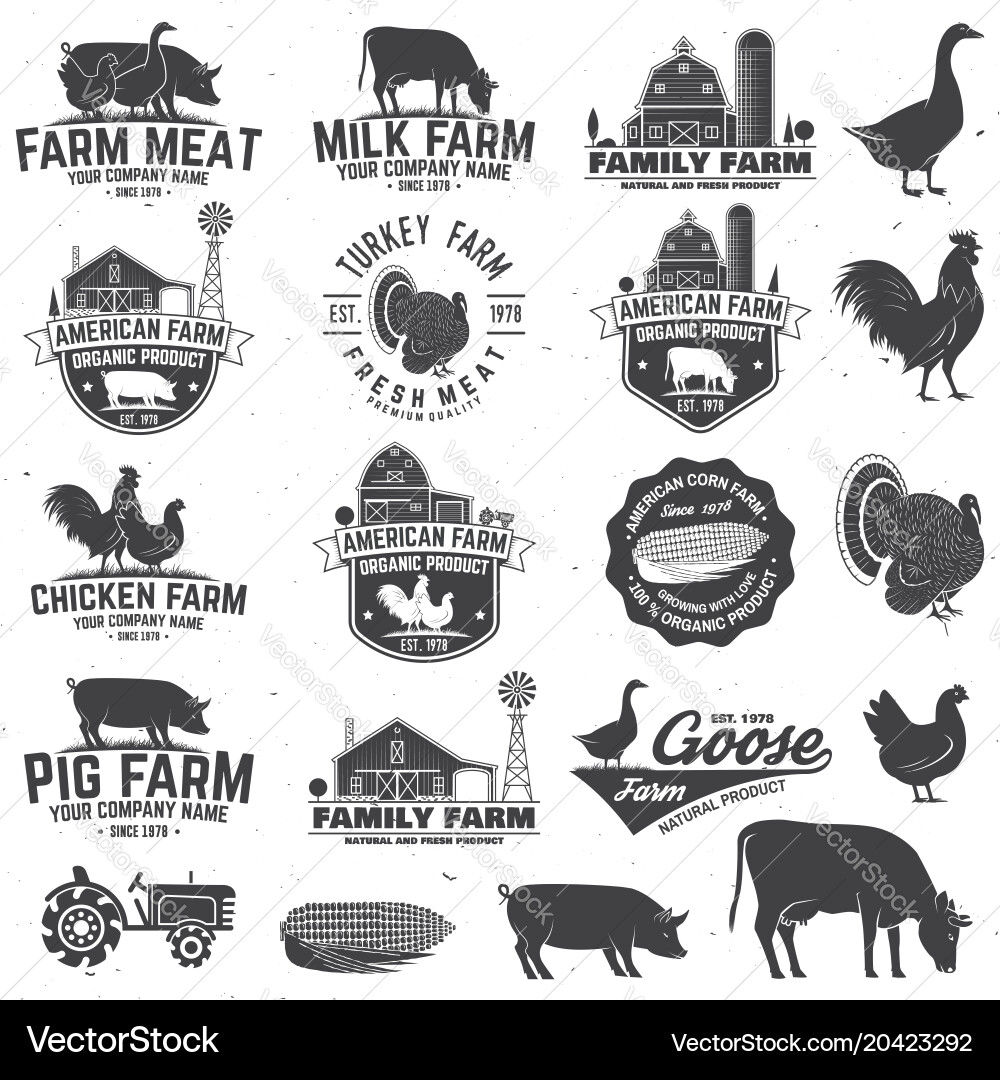 American farm badge or label Royalty Free Vector Image