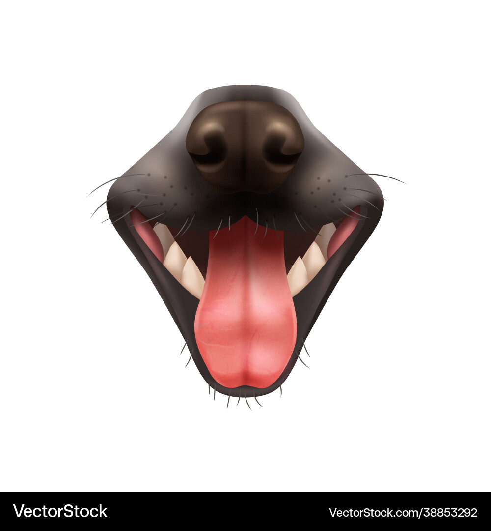 Realistic Dog Mouth Close-Up Royalty Free Vector Image