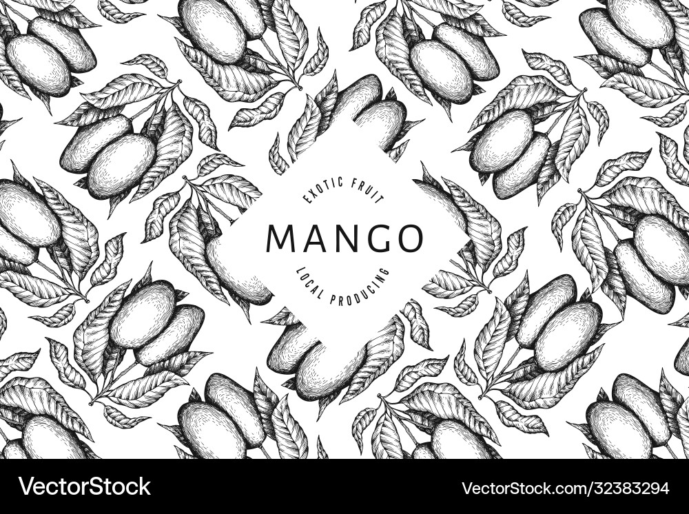 Mango design template hand drawn tropic fruit Vector Image