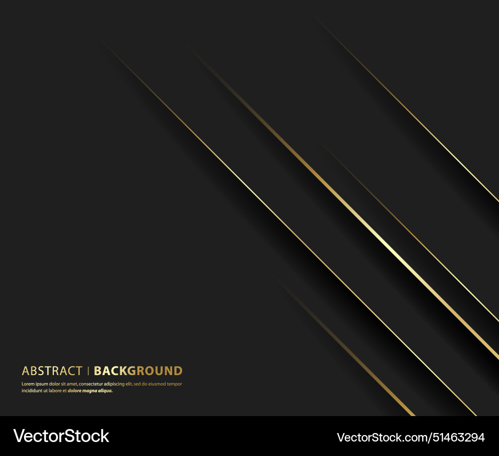 Premium background abstract luxury pattern gold Vector Image