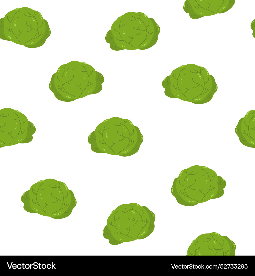 2276 cabbage pat Royalty Free Vector Image - VectorStock