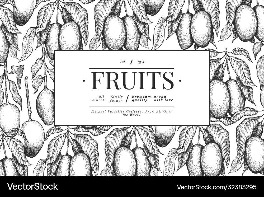 Mango design template hand drawn tropic fruit Vector Image