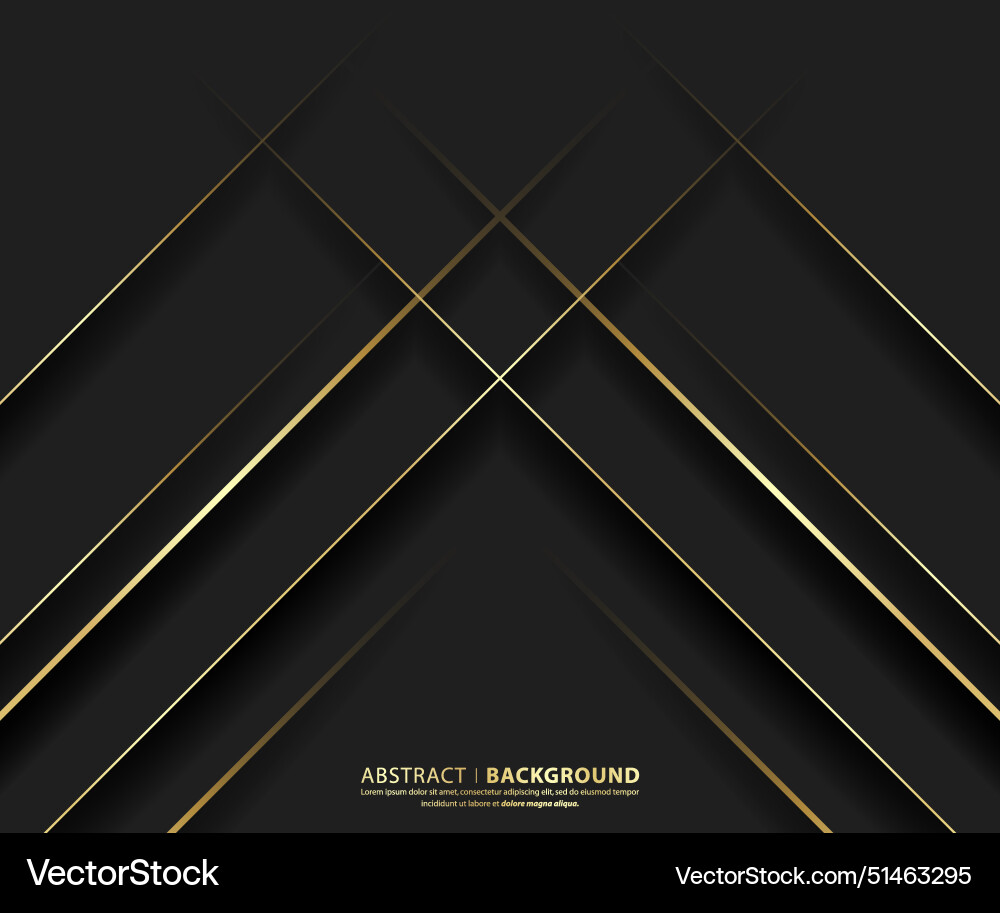 Premium background abstract luxury pattern gold Vector Image