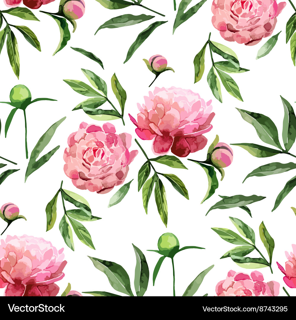 Watercolor peonies pattern Royalty Free Vector Image