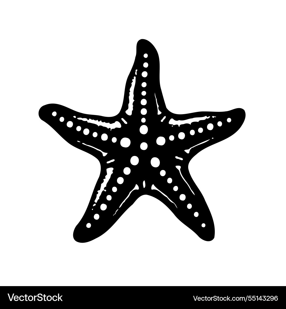 Black starfish isolated on white background Vector Image