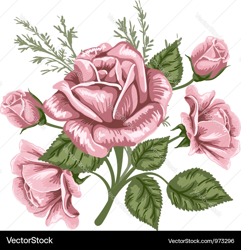 Elegant Pink Rose Bouquet Royalty Free Vector Image