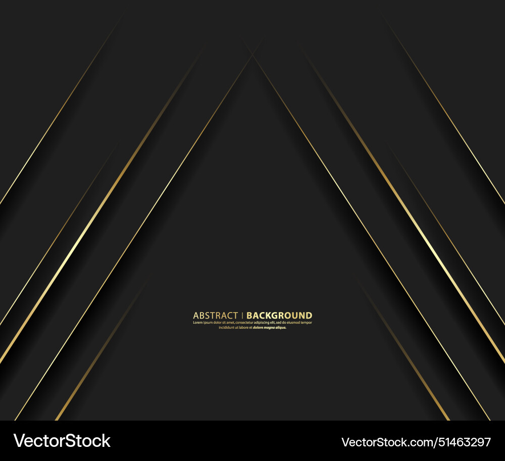 Premium background abstract luxury pattern gold Vector Image