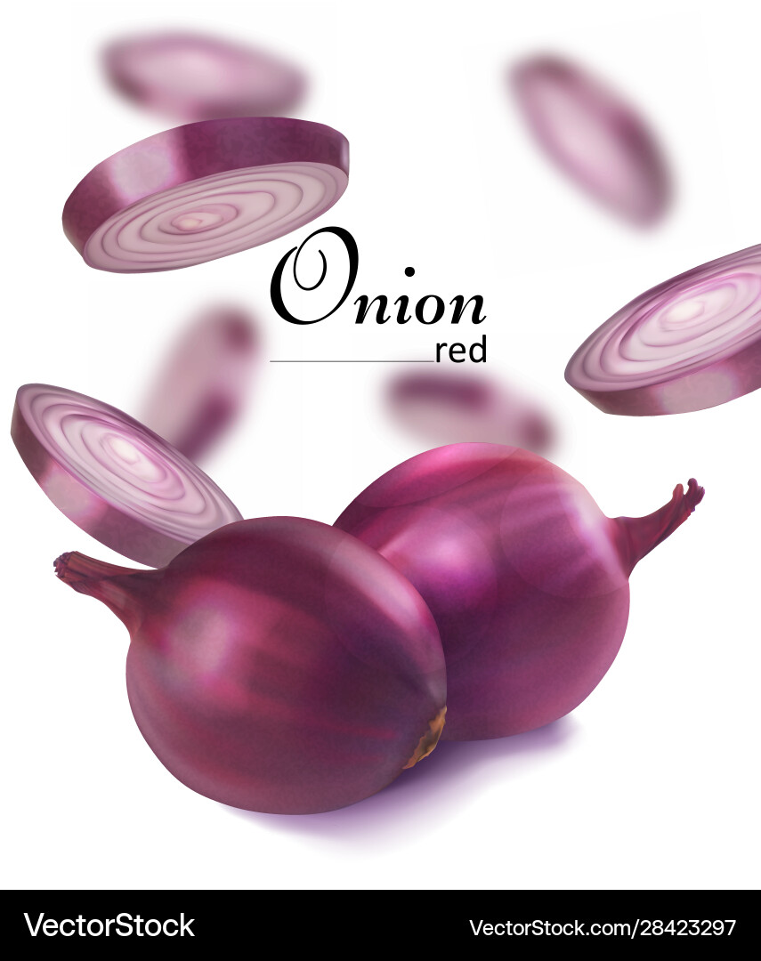 Red onion and sliced onions realistic Royalty Free Vector