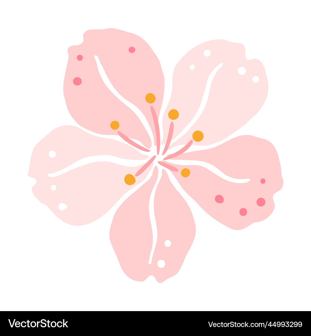 Sakura flower beautiful Royalty Free Vector Image