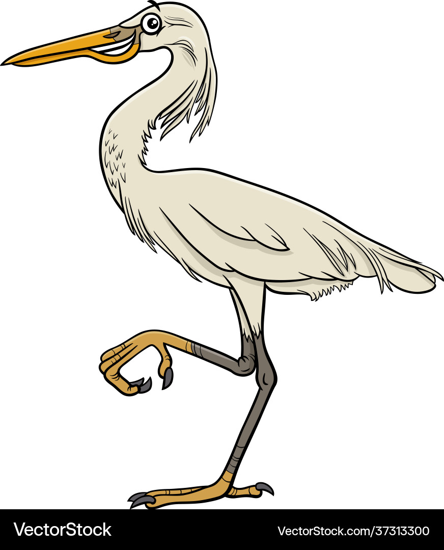 Cartoon egret bird comic animal character Vector Image
